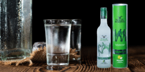 Magic Moments Vodka Price in India: A Complete 2025 Guide